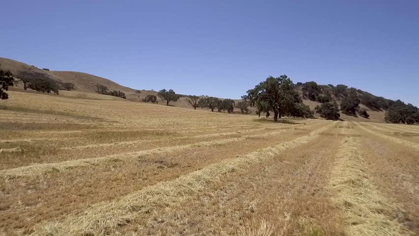 low shooting swiftly across hay windrows Stock Footage Video (100% ...