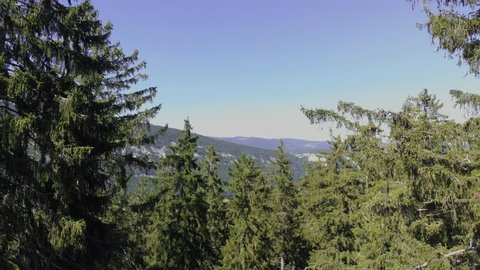 Aerial Flying Through Treetops Alpine Evergreen Stock Footage Video ...