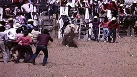 Bull riding girl Stock Video Footage - 4K and HD Video Clips | Shutterstock