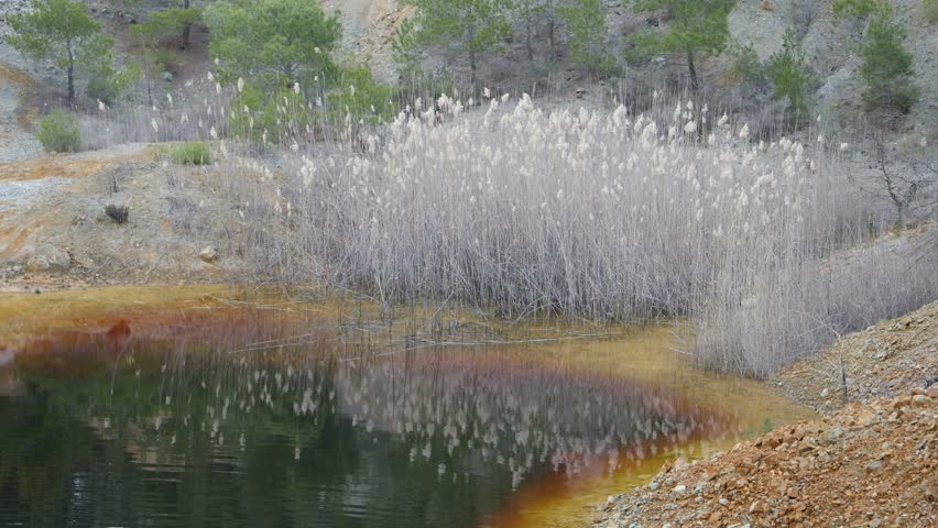 Close up of the Shore Stock Footage Video (100% Royalty-free ...