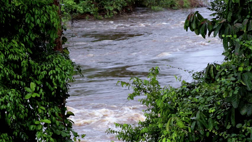 view river through trees jungle africa Stock Footage Video (100% ...