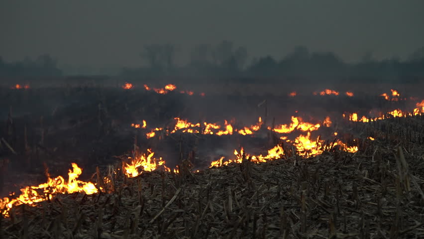 A Shot of a Wildfire Stock Footage Video (100% Royalty-free) 1013895824 ...