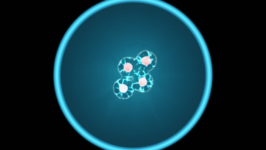 Aggregate Fruit Stock Video Footage - 4K and HD Video Clips | Shutterstock