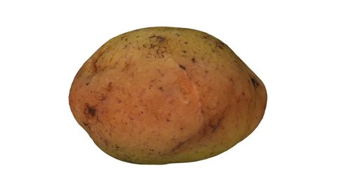 Realistic Render Rotating Melody Potato On Stock Footage Video (100% ...