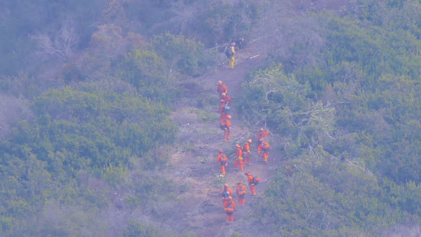 2017 - firefighters cut fire line Stock Footage Video (100% Royalty ...