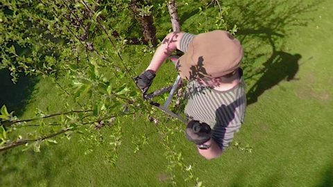 Top View Man Cutting Twigs On Stock Footage Video (100% Royalty-free ...