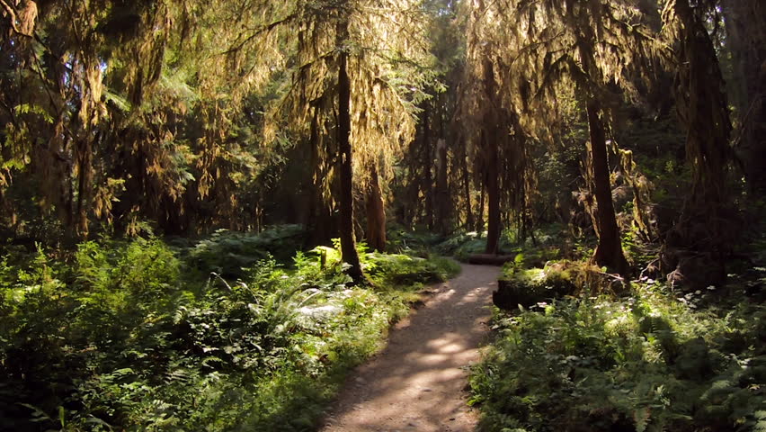 Hohli Stock Video Footage - 4K and HD Video Clips | Shutterstock