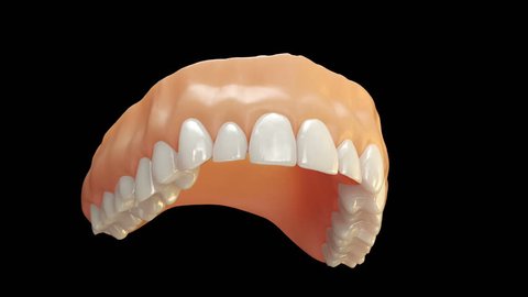 3d Animation Stylized Teeth Jaw Mouth Stock Footage Video (100% Royalty ...