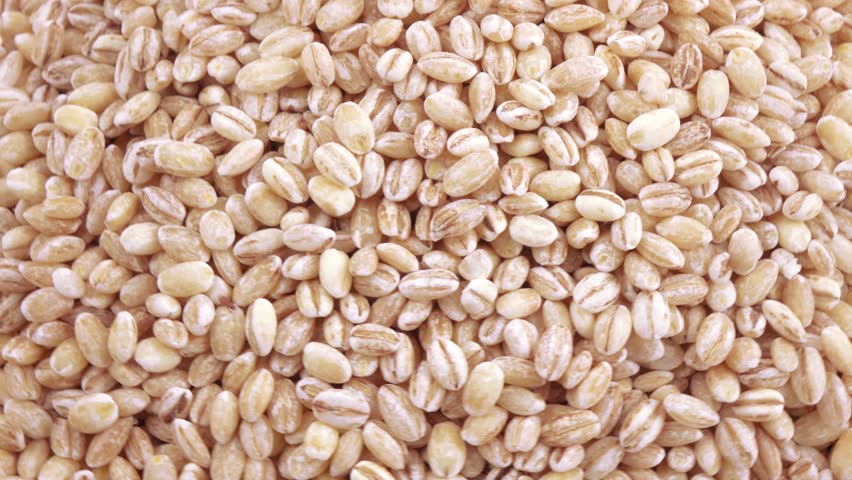 wheat pearl barley pests bulk Stock Footage Video (100% Royalty-free ...