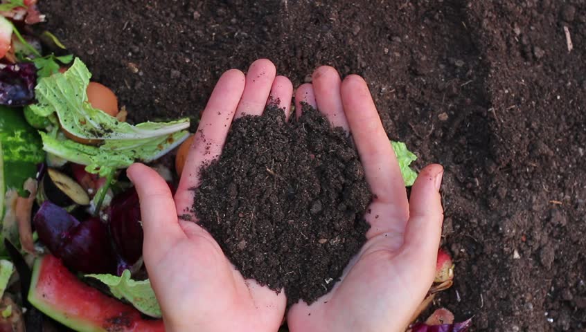 Vermicompost Stock Video Footage - 4K and HD Video Clips | Shutterstock
