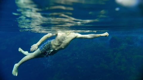 freediver turtle natural habitat slow motion Stock Footage Video (100% ...