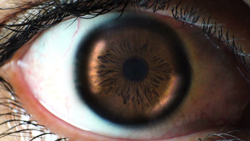 human eye zoom in out Stock Footage Video (100% Royalty-free ...