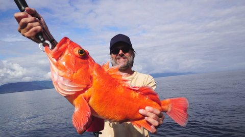333 Rockfish Stock Video Footage - 4K and HD Video Clips | Shutterstock