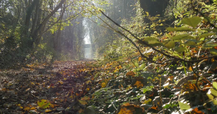 Teversal trail Stock Video Footage - 4K and HD Video Clips | Shutterstock