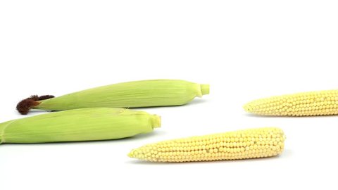 Ear Corn Isolated On White Background Stock Photo 1832876368 | Shutterstock