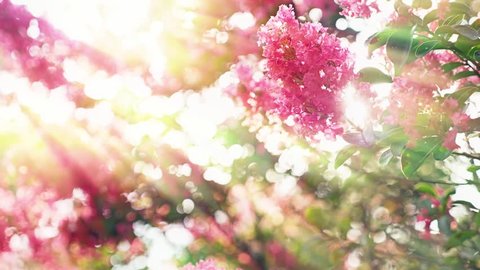 Spring Background Stock Photo (Edit Now) 161083655