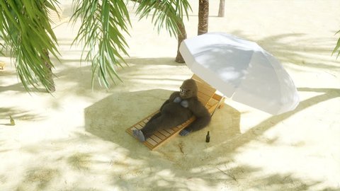 46 Gorilla Beach Stock Video Footage - 4K and HD Video Clips | Shutterstock