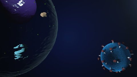 Measles Disease Virus Animation Mechanism Measles Stock Footage Video ...