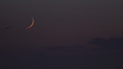Waxing Crescent Moon After Sunset Stock Footage Video (100% Royalty ...