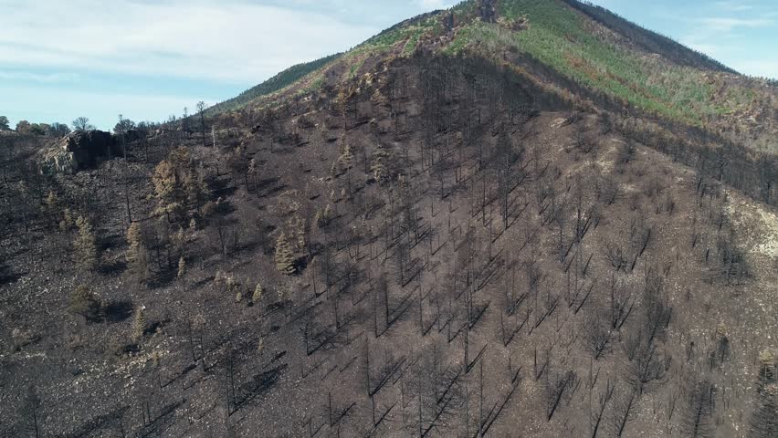 Stock Video Portfolio by Drop Zone Drone | Shutterstock