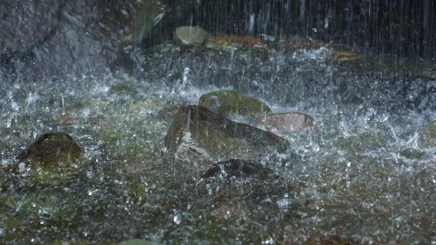 raindrops on rock tropical rainforest shot Stock Footage Video (100% ...