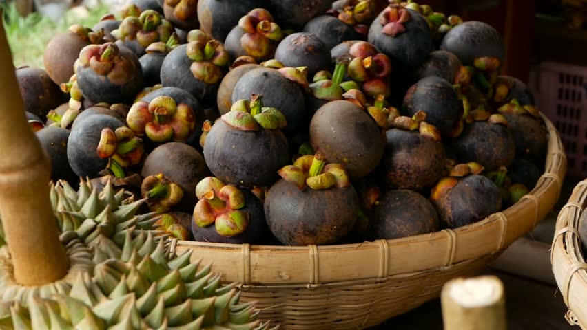 Durian Skin Stock Video Footage - 4K and HD Video Clips | Shutterstock