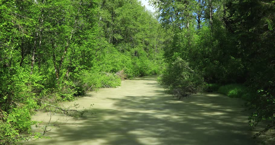 Taiya River in Alaska is Stock Footage Video (100% Royalty-free ...
