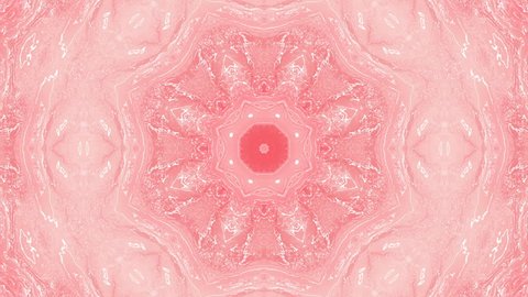 Cross Section Planarian Under Microscope Planaria Stock Photo ...