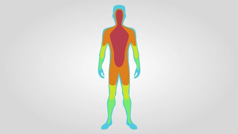 Detailed Illustration Human Muscles Exercise Anatomy Stock Vector ...