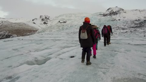 Dolly Tracking Shot Camera Follows Group Stock Footage Video (100% ...