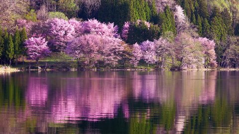 Beautiful Landscape Infrared Photography Stock Photo (Edit Now) 678726721