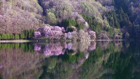 Dong Pee Sua Waterfallhuay Mae Khamin Stock Photo (Edit Now) 150325730