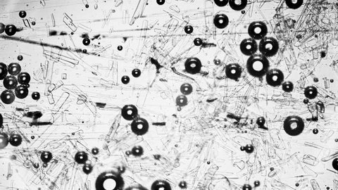 Bleach Liquid Flowing Filmed Under Microscope Stock Footage Video (100% ...