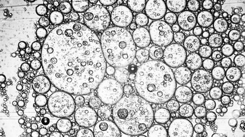 Bleach Liquid Flowing Filmed Under Microscope Stock Footage Video (100% ...