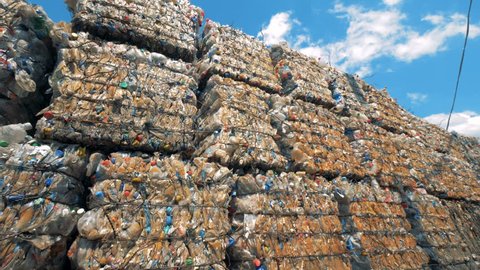 Lots Pressed Plastic Bottles Dump Close Stock Footage Video (100% ...