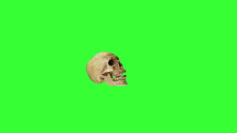 Halloweentalk Skull On Green Screen Background Stock Footage Video (100 ...