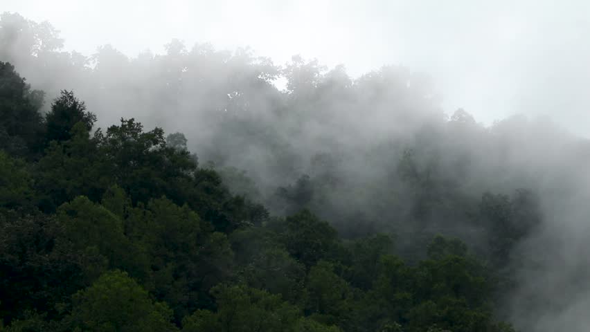 layers green trees dense fog appalachian Stock Footage Video (100% ...