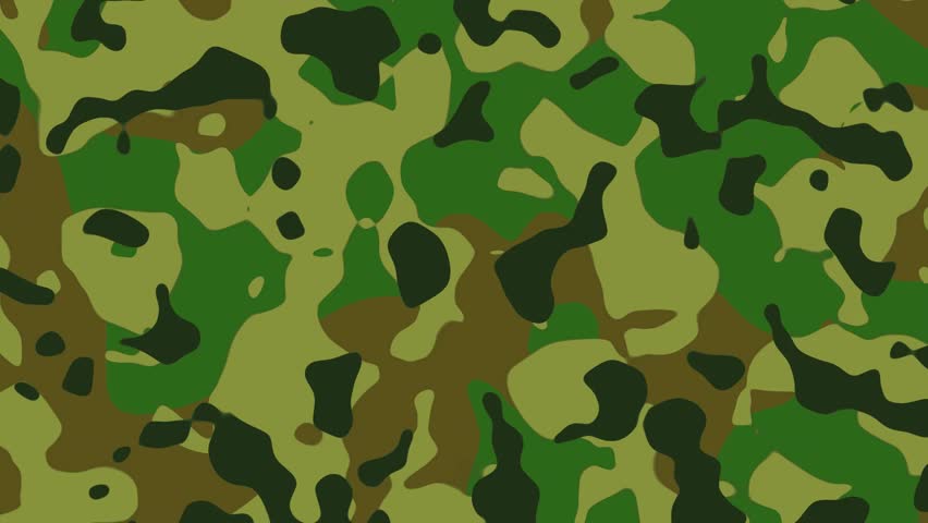 Animated Woodland Camouflage Pattern. Stock Footage Video (100% Royalty ...