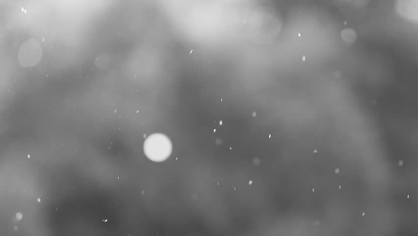 Pollen Flying All Over in Stock Footage Video (100% Royalty-free ...