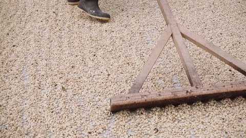 Farmer Uses Wooden Rake Out Expand Stock Footage Video (100% Royalty ...