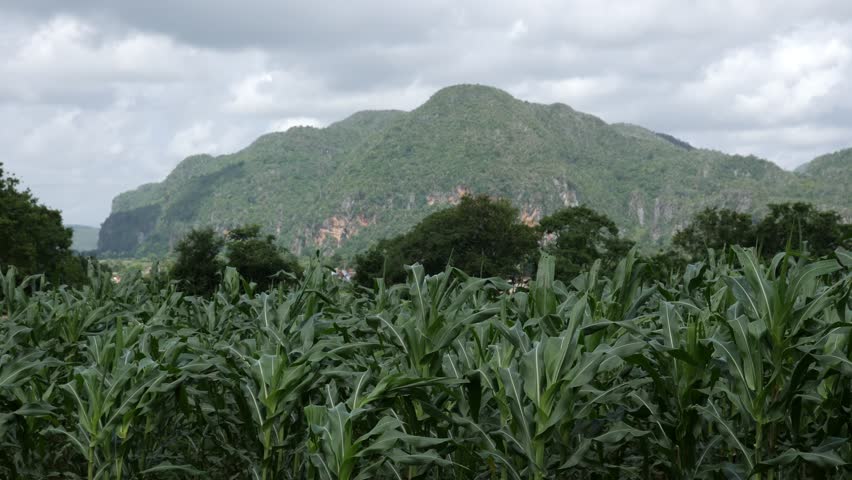 view hills mountains nature cuban landscape Stock Footage Video (100% ...