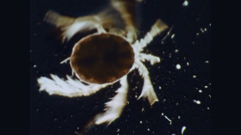 1960s United States Water Mite Under Stock Footage Video (100% Royalty ...