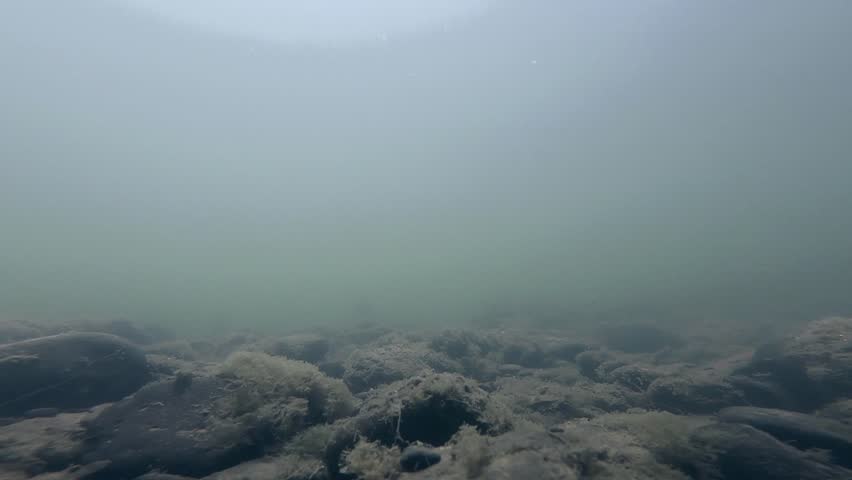 ground still underwater shot murky waters Stock Footage Video (100% ...