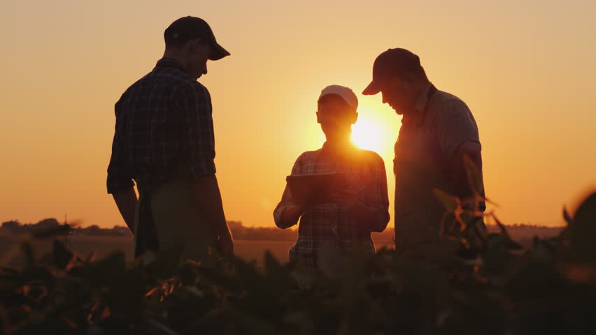 A Group of Farmers are Stock Footage Video (100% Royalty-free ...