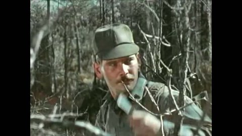 9 Combat tracker dog Stock Video Footage - 4K and HD Video Clips ...