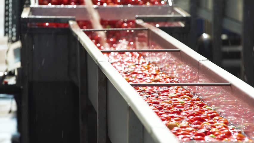 Ketchup Line Stock Video Footage - 4K and HD Video Clips | Shutterstock