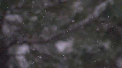 snow storm transitions video footage fhd Stock Footage Video (100% ...