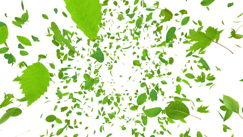 Flying Leaves Stock Footage Video (100% Royalty-free) 10165718 ...