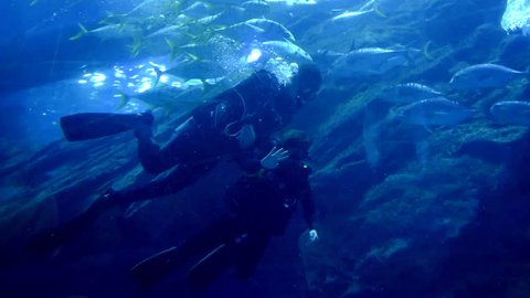 Scuba Diver Waving Camera Under Water Stock Footage Video (100% Royalty ...