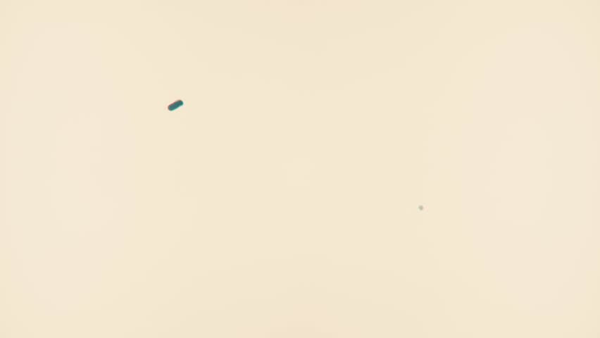 3d timer countdown animated in white color from 10 to 0. Green screen ...